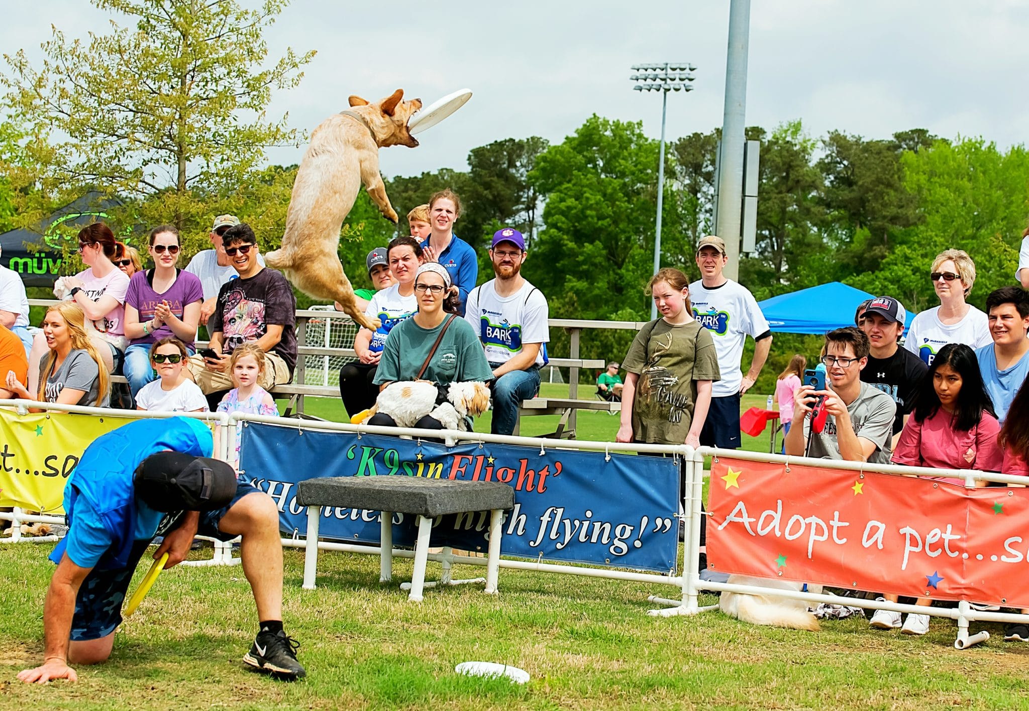 k9s in flight bttp | Pawmetto Lifeline