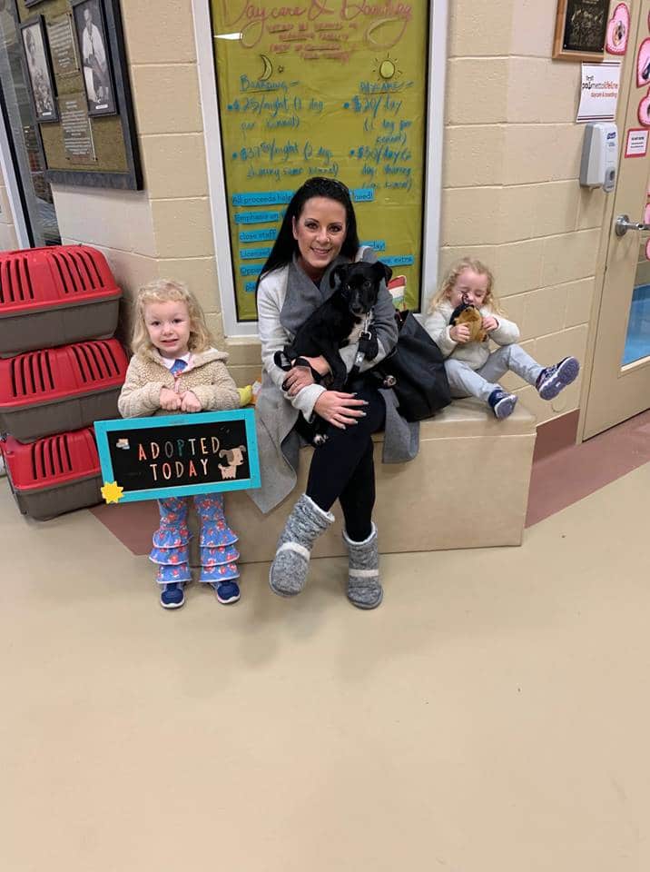 Pawmetto Lifeline: Happy Tails | Pawmetto Lifeline