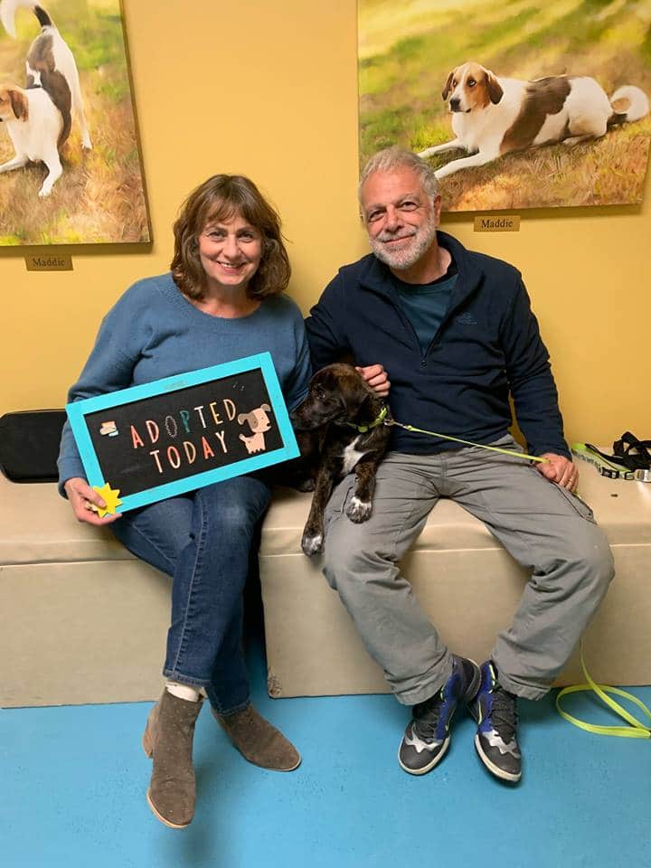 Pawmetto Lifeline: Happy Tails | Pawmetto Lifeline