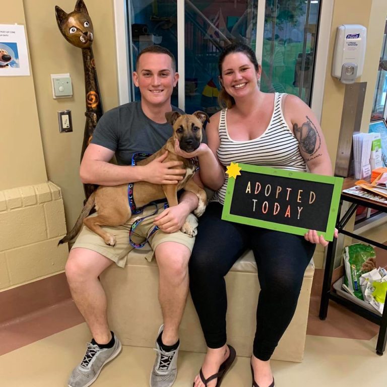 Pawmetto Lifeline: Happy Tails | Pawmetto Lifeline