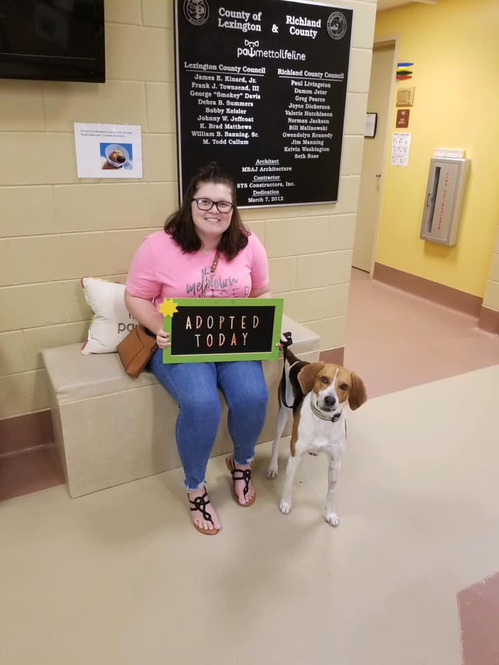 Pawmetto Lifeline: Happy Tails | Pawmetto Lifeline