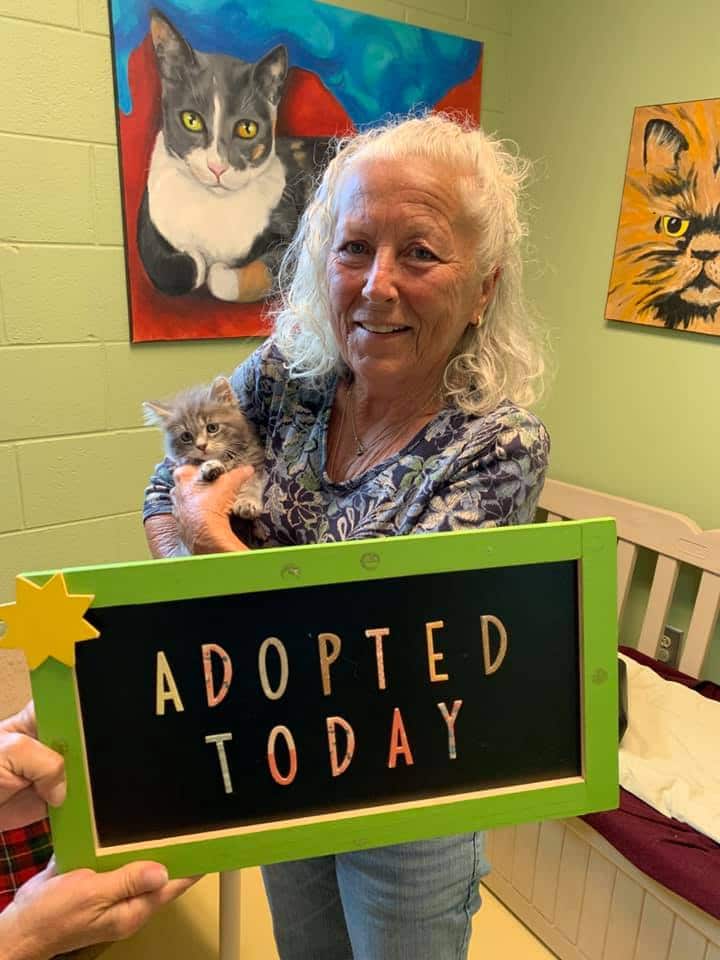 Pawmetto Lifeline: Happy Tails | Pawmetto Lifeline