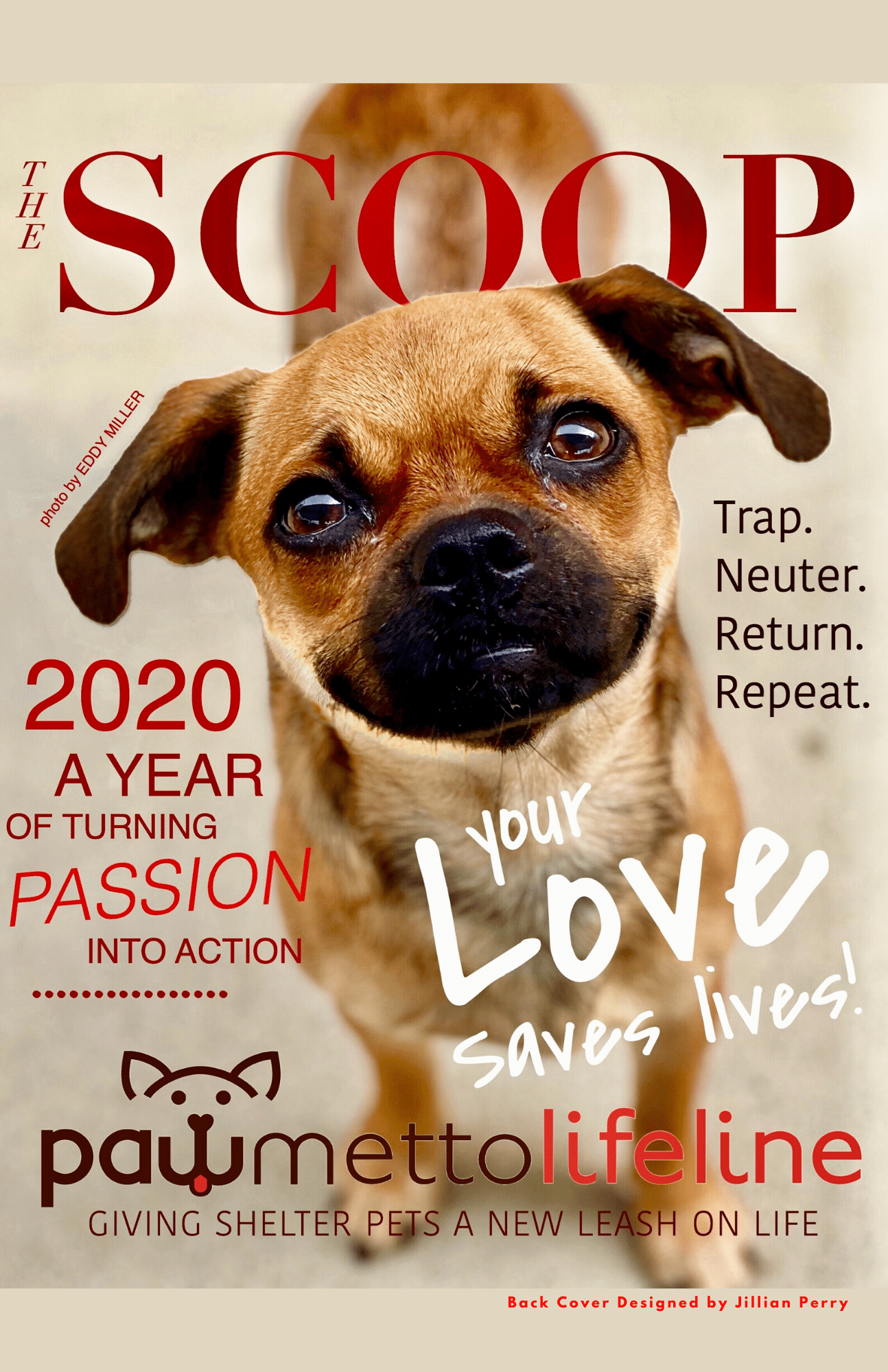 Back Cover Designed By Jillian Perry | Pawmetto Lifeline