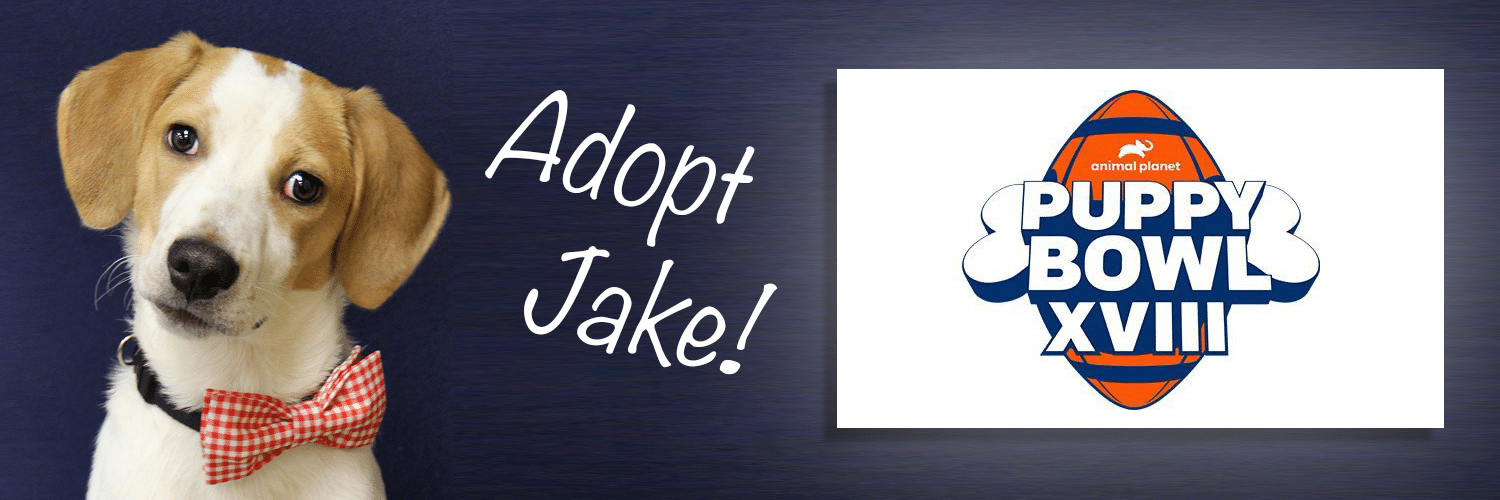 Jake Banner | Pawmetto Lifeline