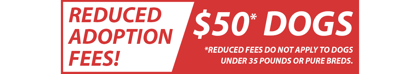 REDUCED FEES Dogs Wide | Pawmetto Lifeline