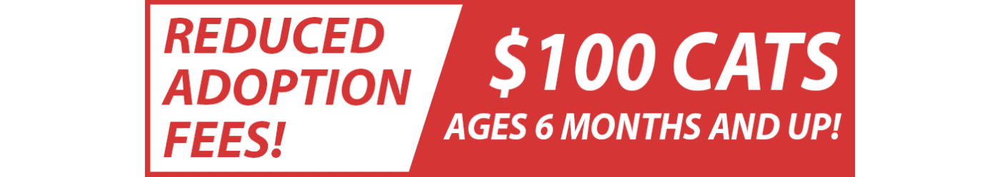 REDUCED FEES CATS BANNER UPDATED | Pawmetto Lifeline