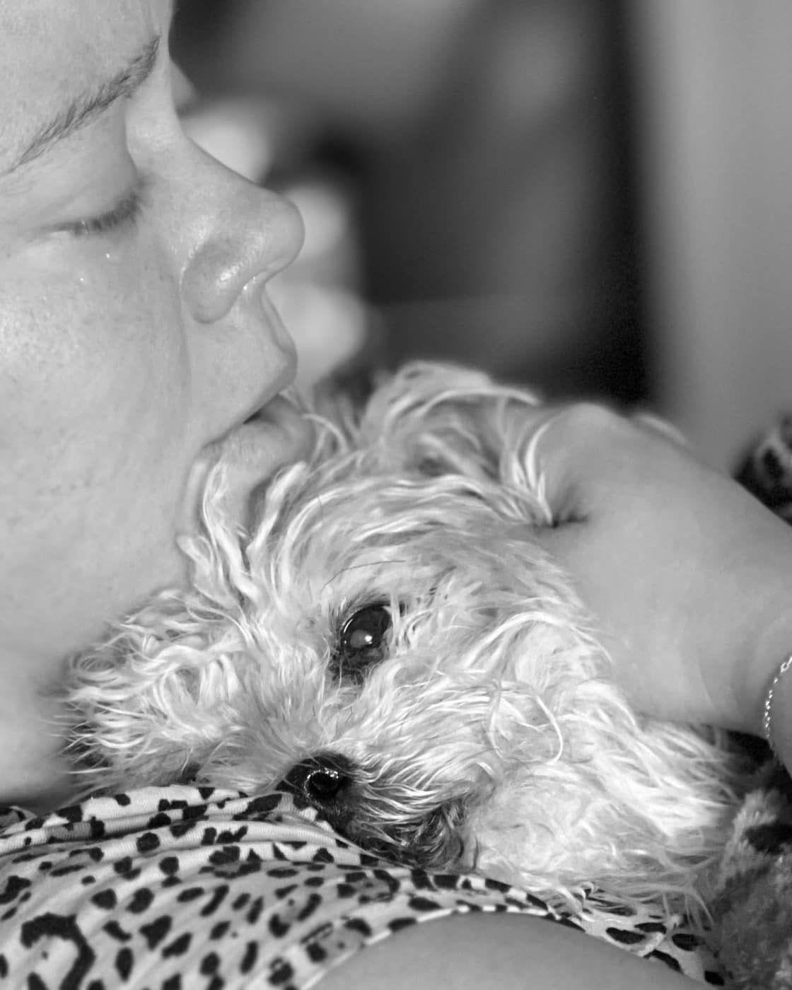 Pawmetto Lifeline: Happy Tails | Pawmetto Lifeline